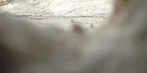 Boquete Na Rua