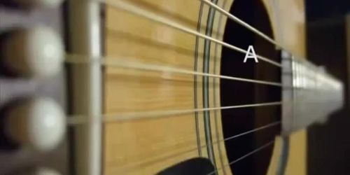 Stem Gitar