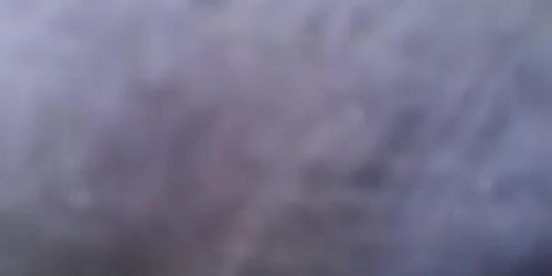 Cock Flash Bus