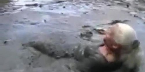 Free Quicksand Porn Videos And Sex Movies Tnaflix Page 2