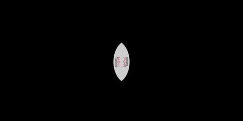 Magic Mc Tricks 0919