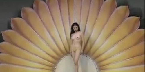 Asian Lingerie Catwalk 3