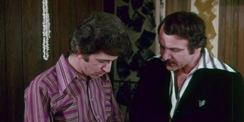 A Touch Of Sex 1974