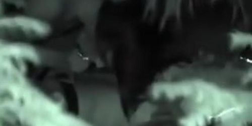 Xxl Voyeur Eu Outdoors