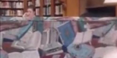 Library Boob Flash