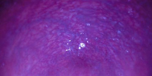 Internal View Xl Dragon Rough Fast Anal Fucking You Asked For