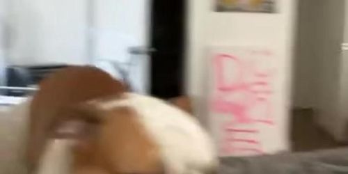 Furry Porn On Tik Tok