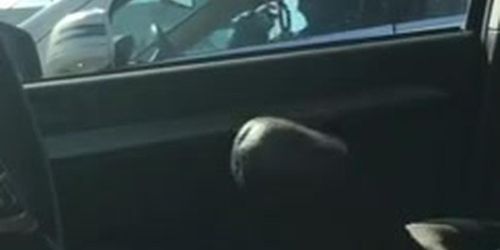 Dick Flash Car Milf