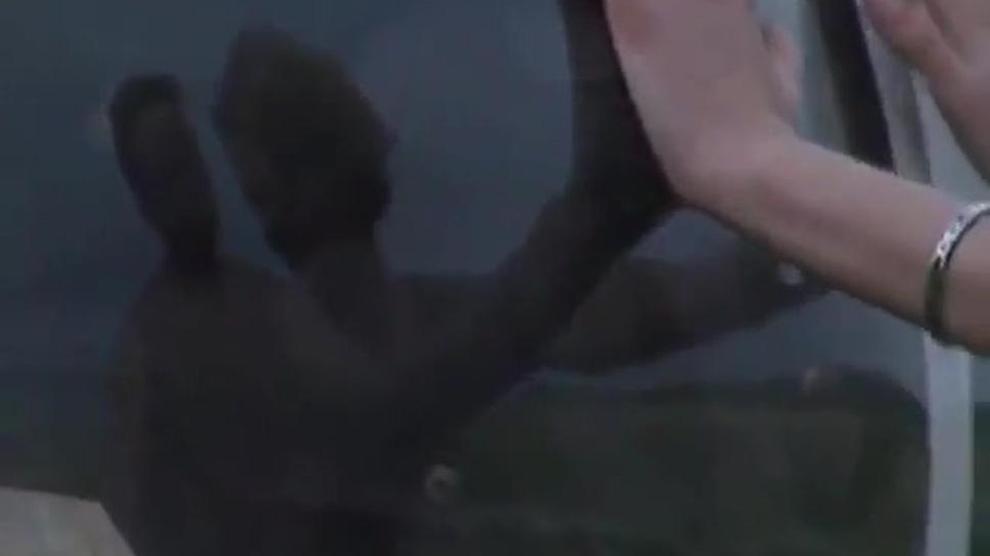 Greta Milos Anal