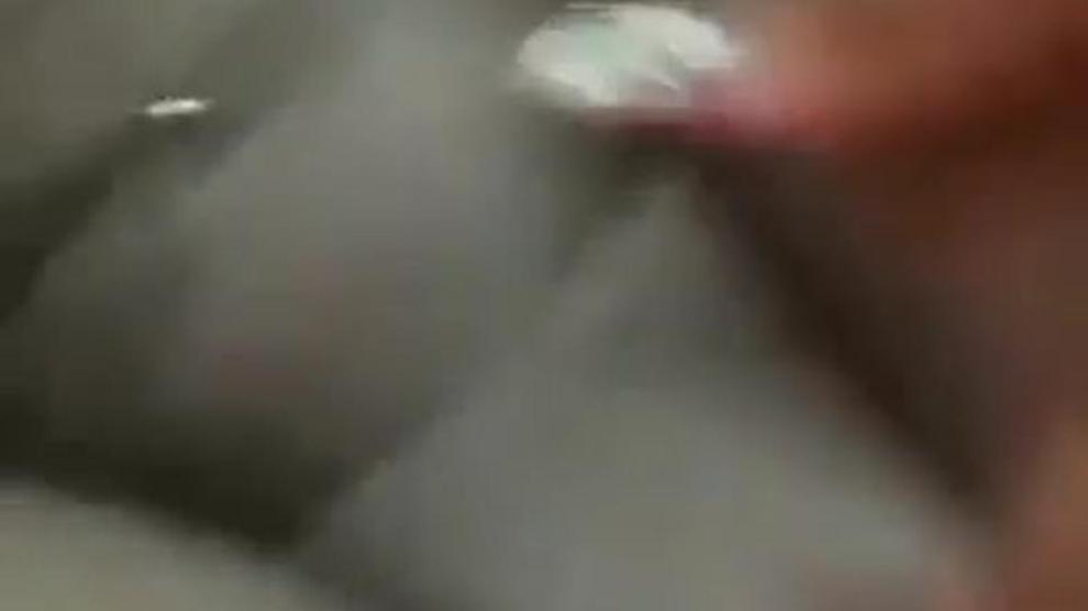 Bahamian Young Pussy Porn Videos