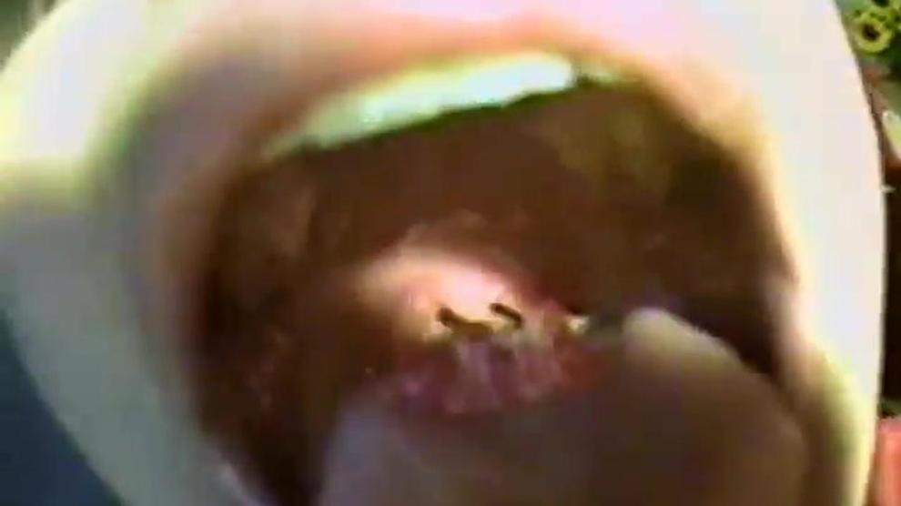 Giantess Vore Giantess Discord Server Porn Videos