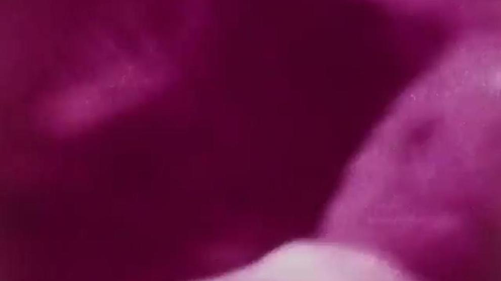 Suzanne Mcbain Anal The Stars Of Sex 9 1977 John Leslie Porn Videos