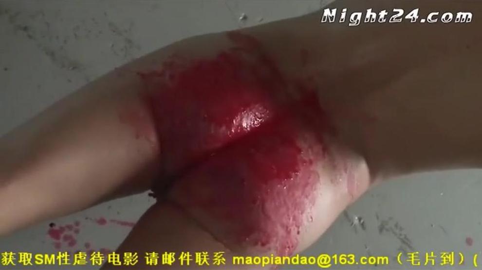 N24 338 Porn Videos