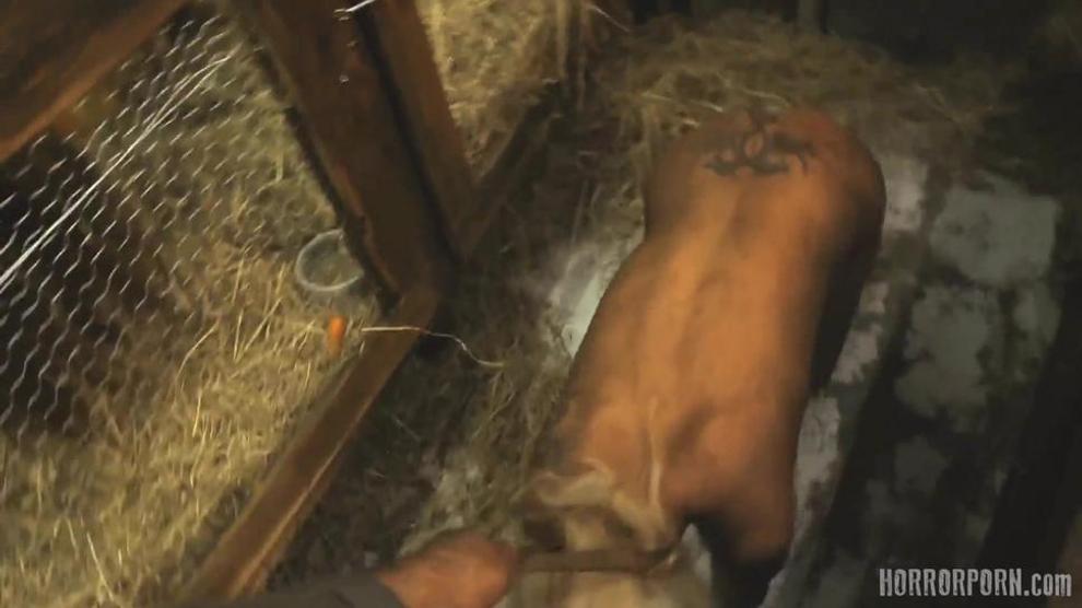 Horrorporn Rabbit Hutch Porn Videos 6127