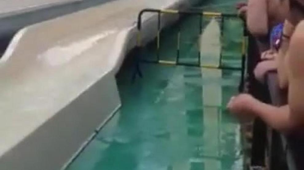 Boob Flash In Water Slide Porn Videos