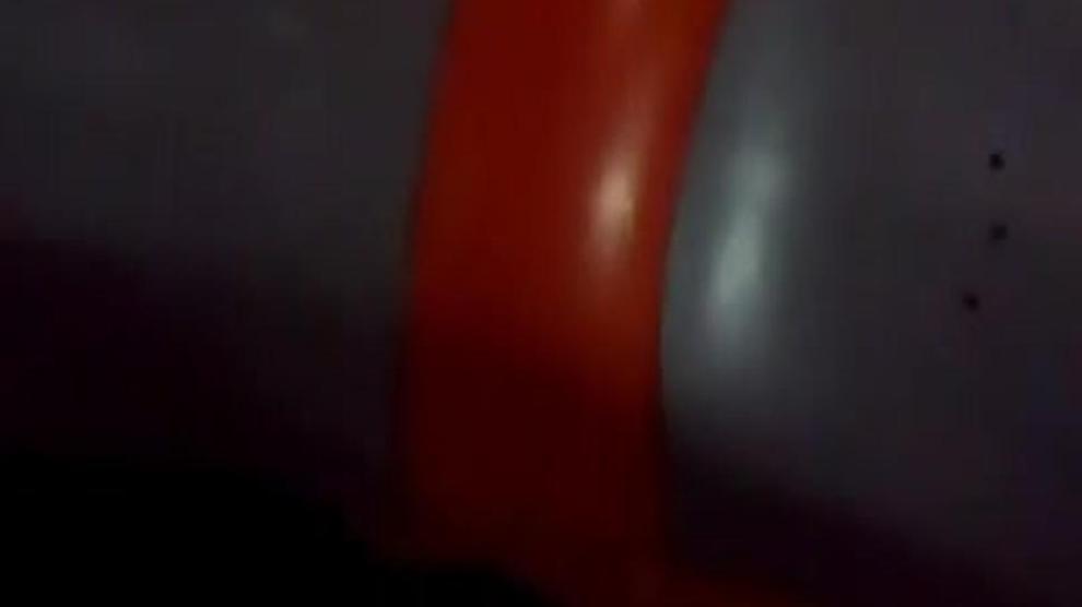 Flashing Granny On Bus