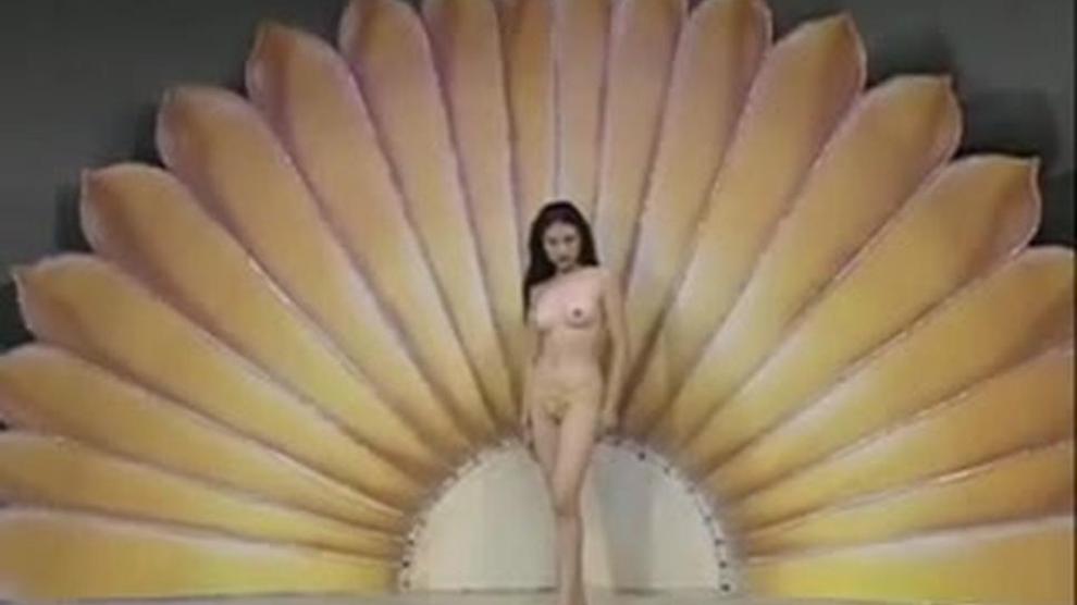 Asian Lingerie Catwalk 3 Porn Videos