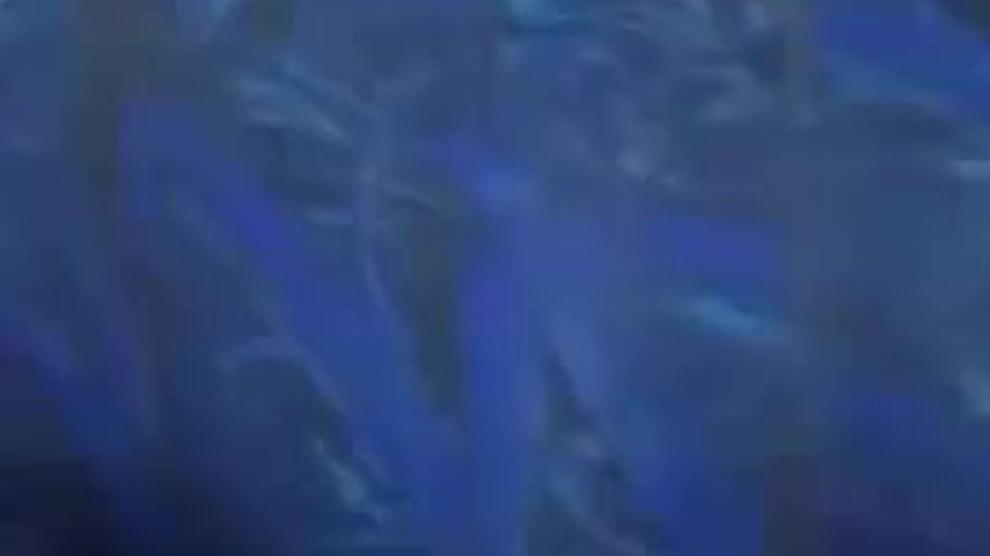 Japanese Old Woman Porn Videos