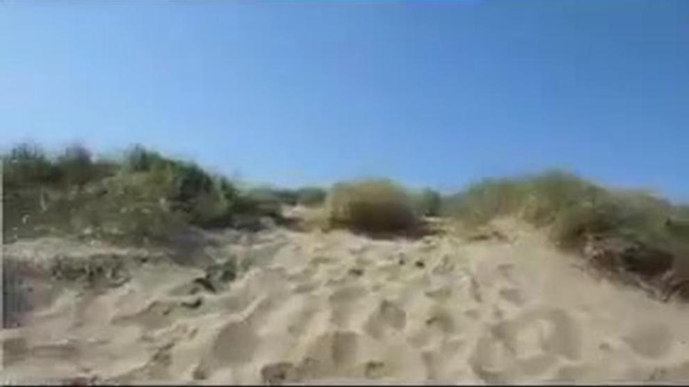 Dickflash Beach Porn Videos