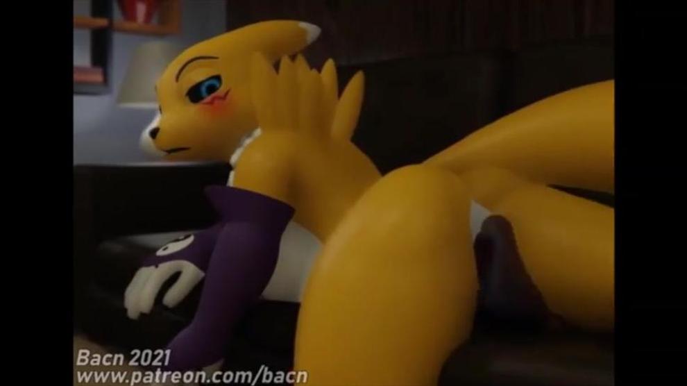 Renamon Compilation 3
