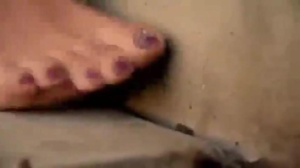 Giantess Ant Crush Porn Videos