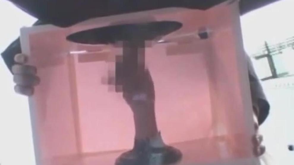 Cock In Box Japan