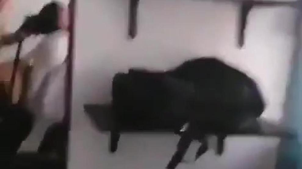 Mexicana Le Encanta La Verga Y Ser Su Puta Porn Video