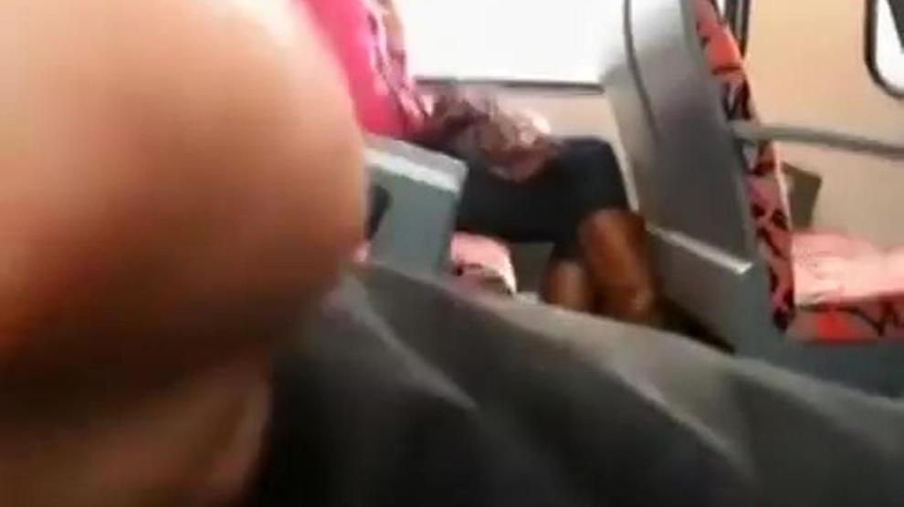 Guy Strokes His Dick In Train