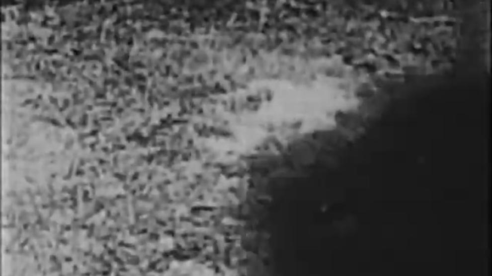 Man And Woman Fucking Hard Video 1 Porn Videos