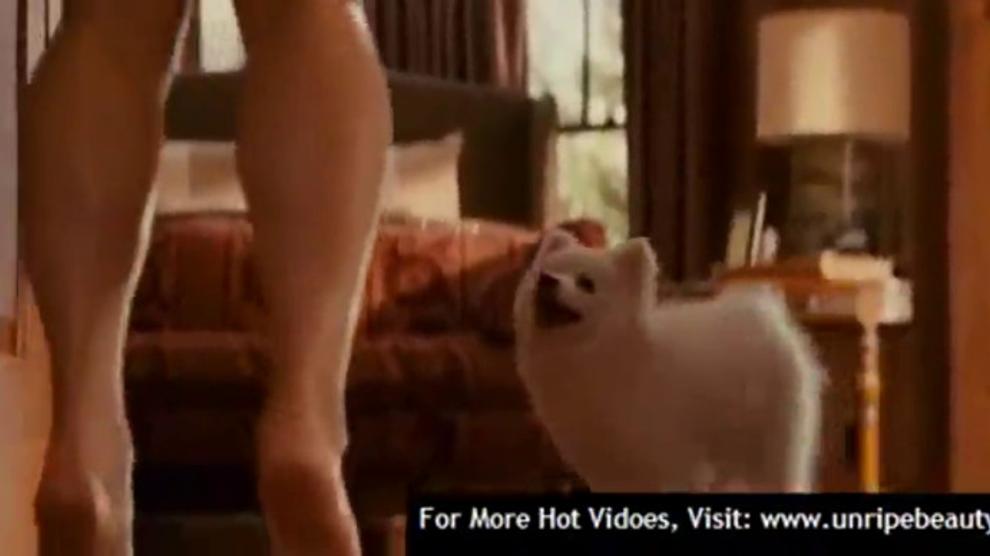 Sandra Bullock In The Proposal Porn Videos 