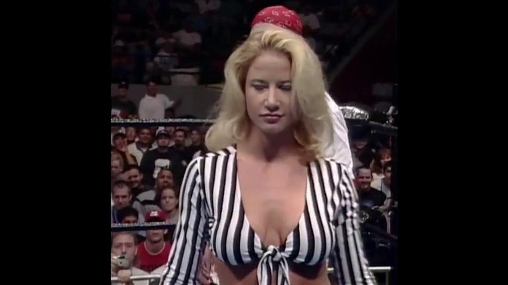 Wwe Sunny Sexy Compilation Porn Videos