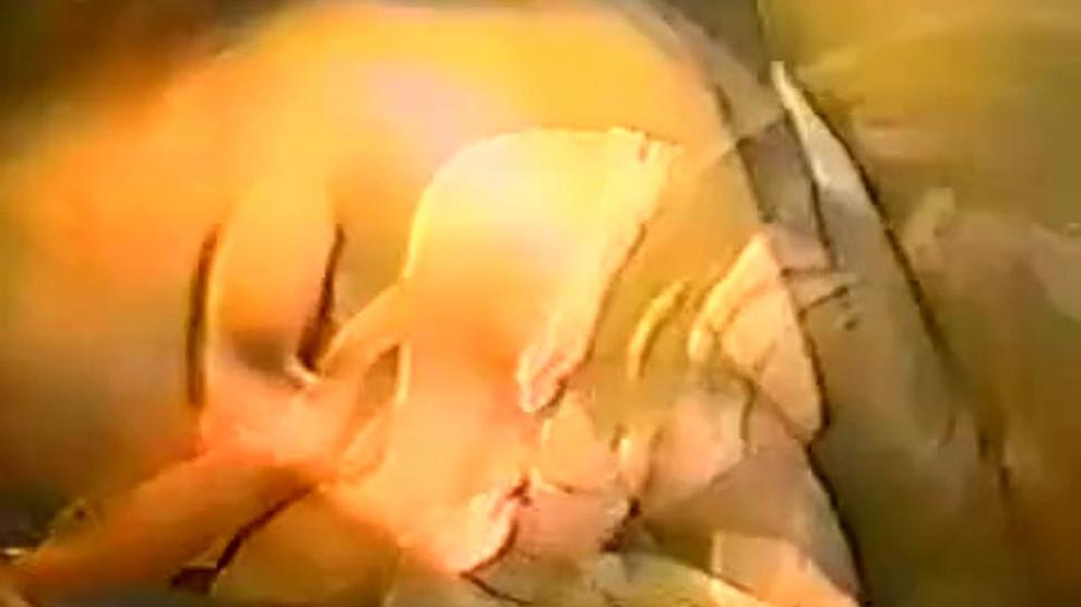 Japan Vintage Sex Tape Porn Videos