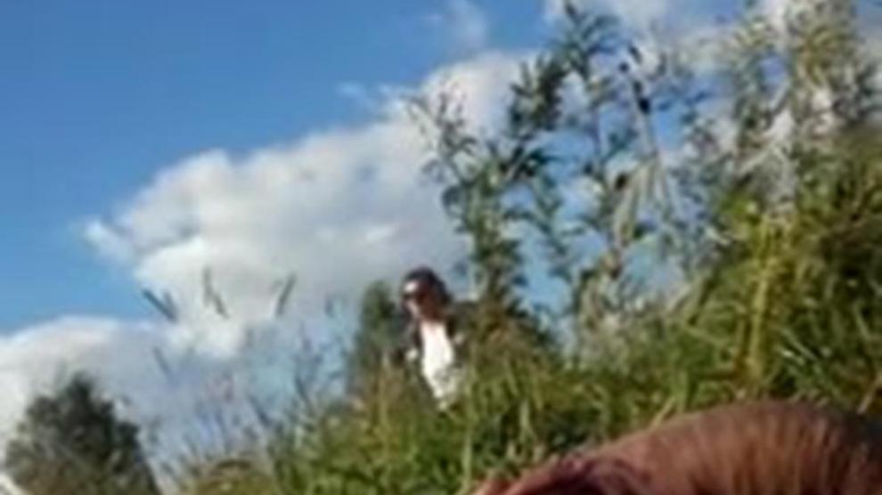 Flash For 2 Mature Women At Park Porn Videos