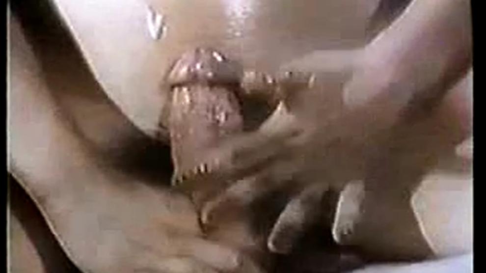 Hollies Sex Drive 1977 Porn Videos