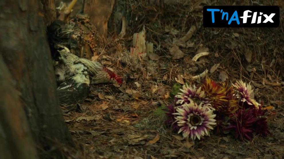 Sarah Snook Sexy Scene In Jessabelle Porn Videos