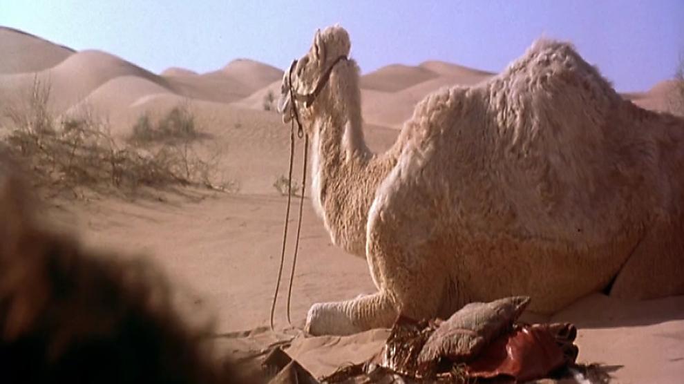 Kelly Hu The Scorpion King Kelly H Porn Videos