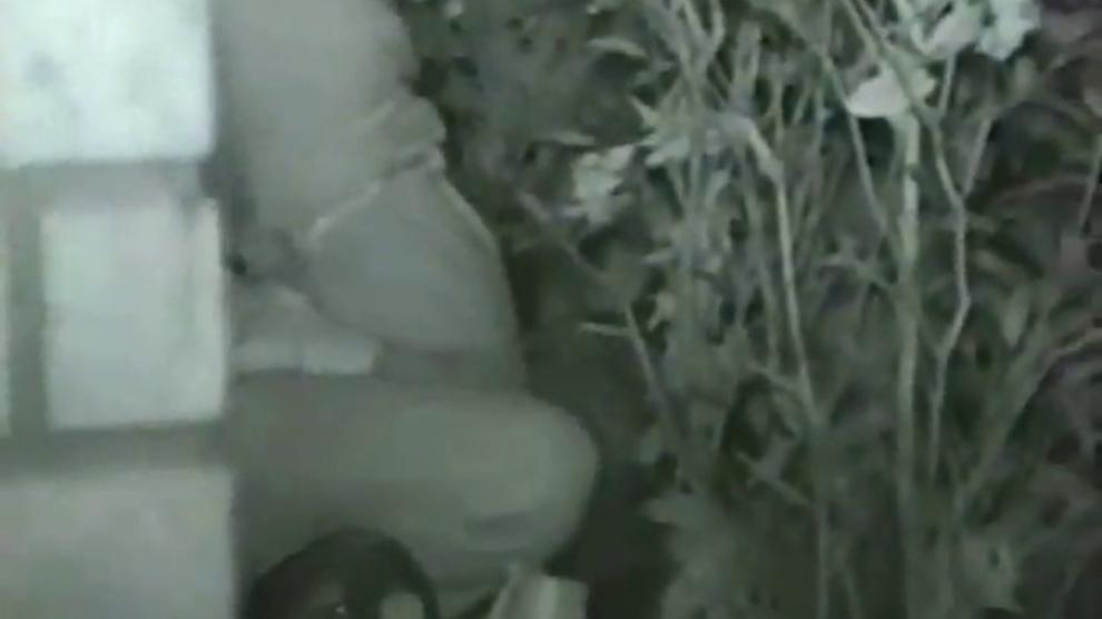 Sex Park Bench At Night Porn Videos