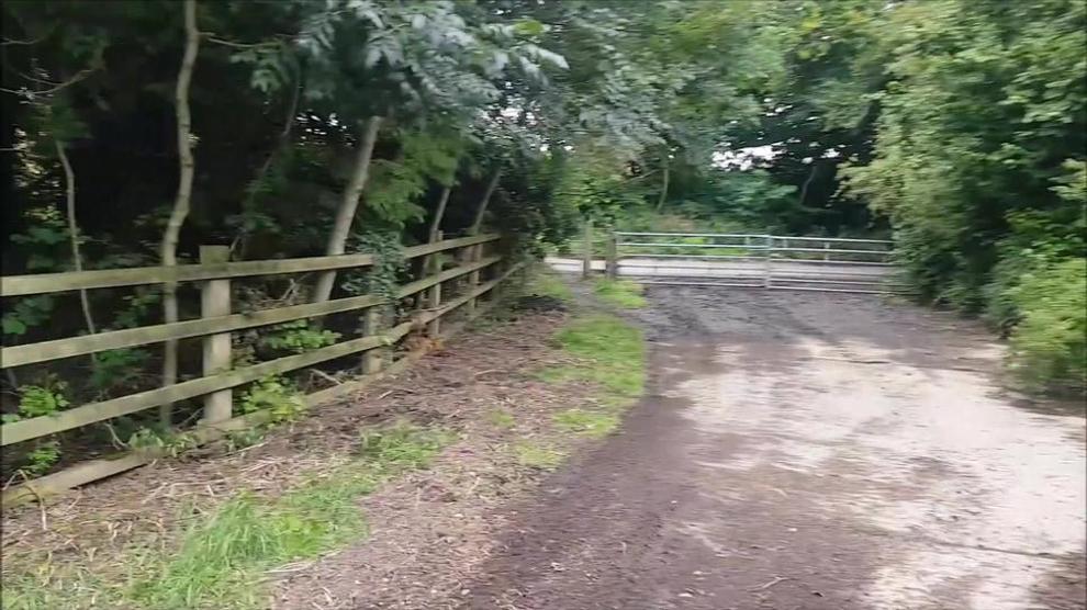 Public Path Interrupted Risky Sex & Swallow Porn Videos