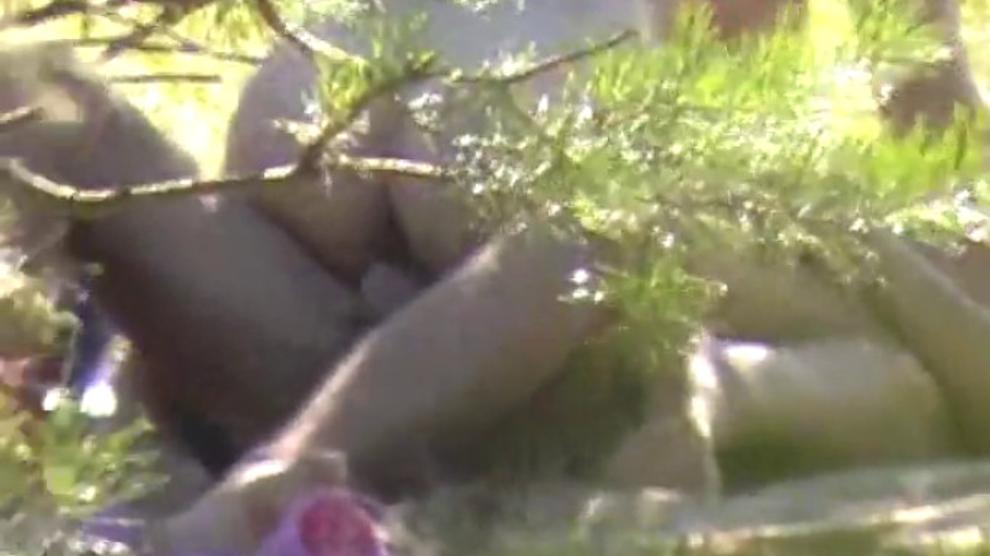Beach Sex Amateur 35 Porn Videos