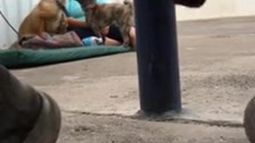 Cumshot For Fat Homeless Lady