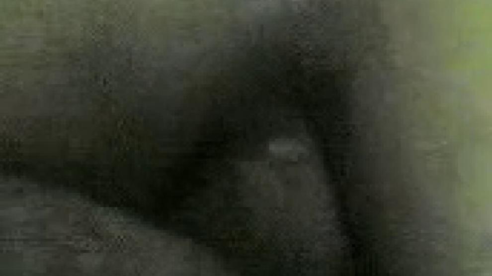 Egypte Sex Arabic Porn Videos