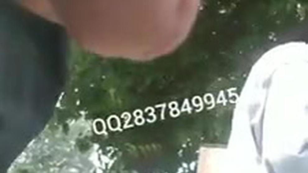 Cock Flash Bus Stop