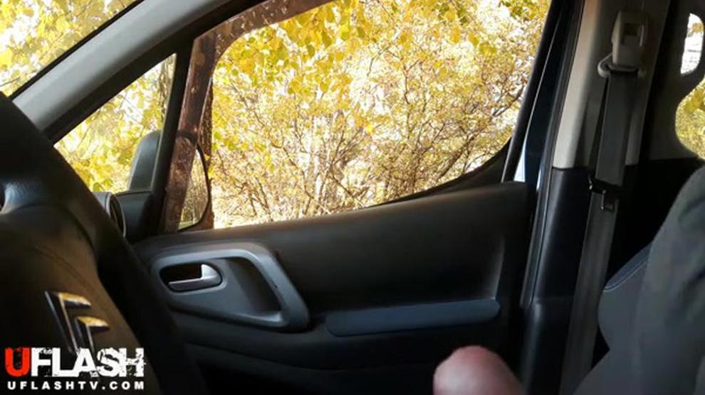 Car Flashing Porn Videos