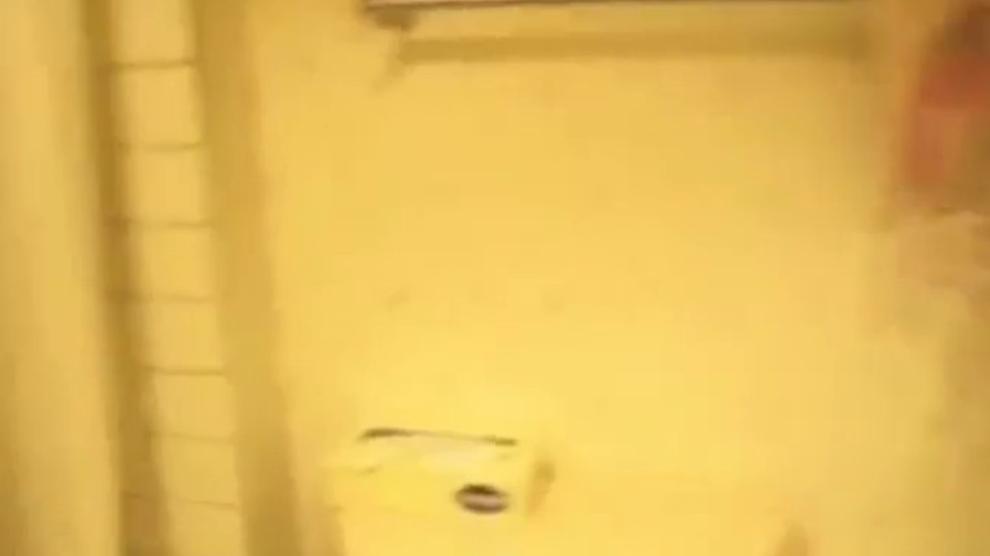 Girls Embarrassed Caught Naked In Shower Flashing Pussy Porn Videos