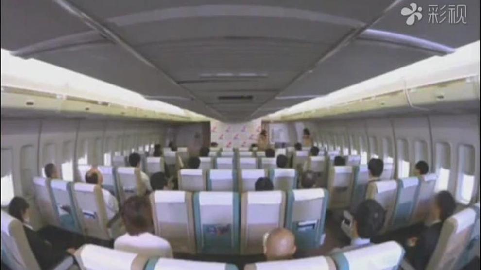 Japan Airline Sex Service