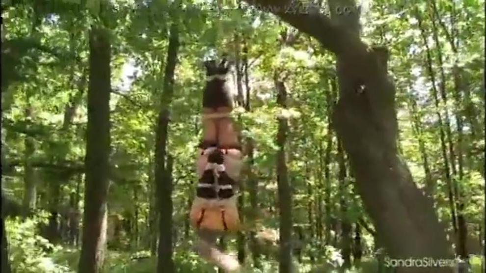 Tree Bound Porn Videos