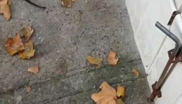 Outdoor Wank Tnaflix Porn Videos