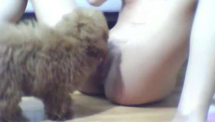 Kbj Korean Bj Uncensored 2020110607 01 Tnaflix Porn Videos