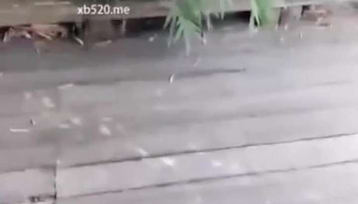 Outdoor Anchors Wear Long Skirts To Seduce Passers By Tnaflix Porn Videos