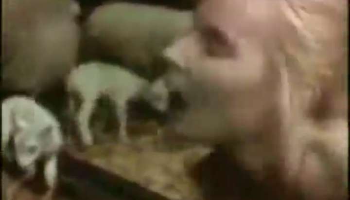Pensionat Heiss Blue Tiger Teensflv Tnaflix Porn Videos